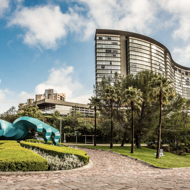 Lo alto - livingbosquereal